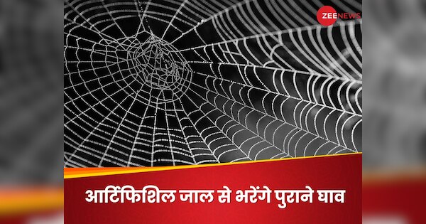 Artificial Spider Web To Treat Chronic Wounds, Scientists Develop Ultra ...