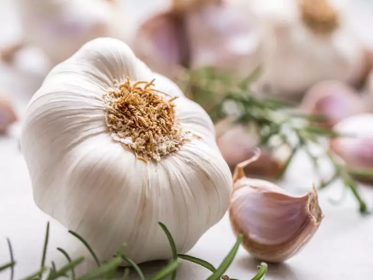How to differentiate between Chinese garlic and desi garlic know ...