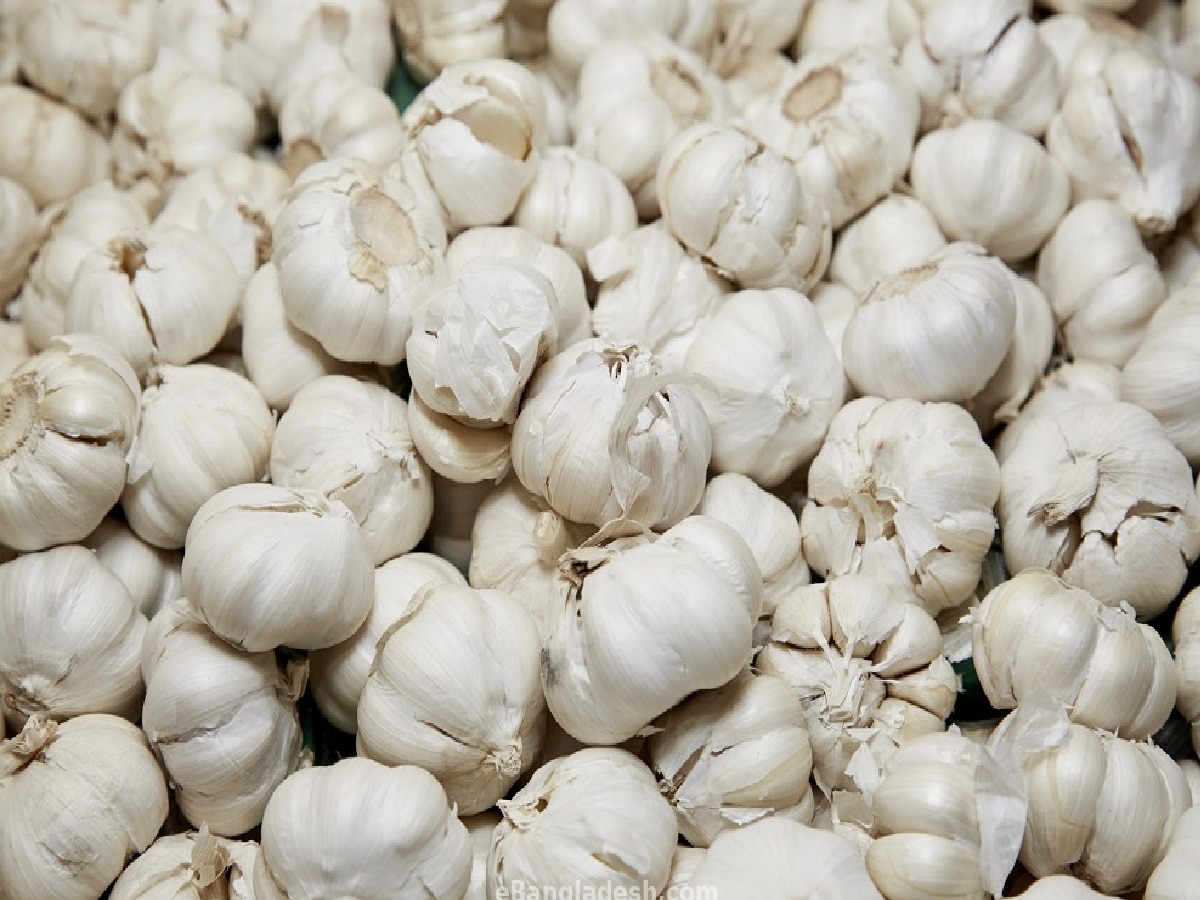 How to differentiate between Chinese garlic and desi garlic know ...