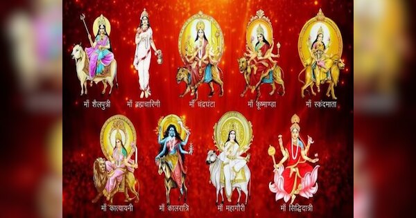 Shardiya Navratri 2024 Nine Avtar of Maa Durga durga puja nine beej ...