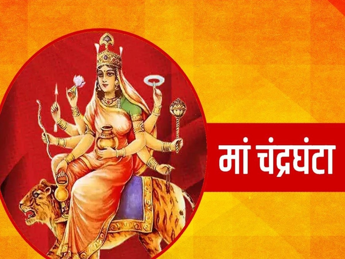 Shardiya Navratri 2024 Nine Avtar of Maa Durga durga puja nine beej ...