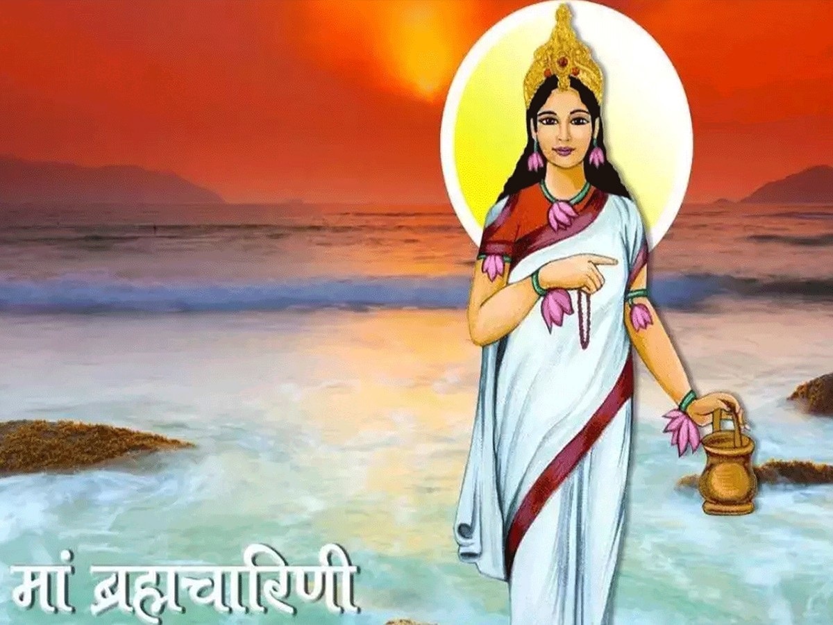 Shardiya Navratri 2024 Nine Avtar of Maa Durga durga puja nine beej ...