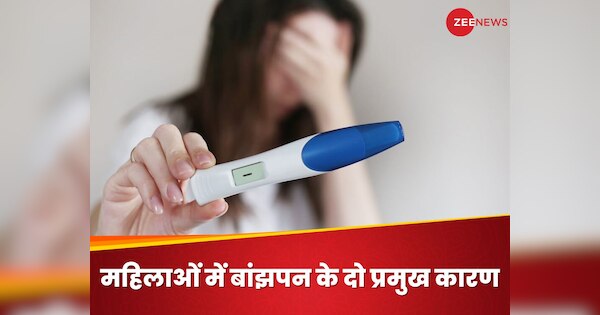 Female infertility 2 things junk food and obesity are making women womb ...