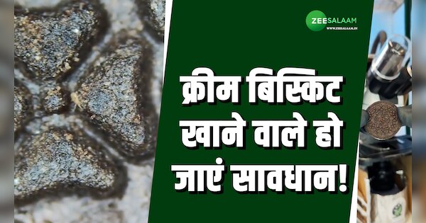 Oreo Biscuit Bacteria found in Microscope video viral | बच्चों का ...