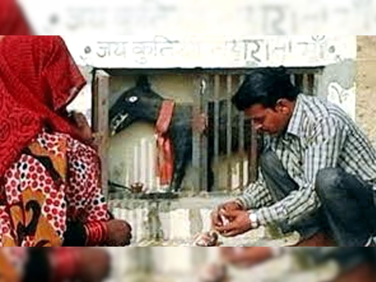 unique temple of Kutiya devi in this district of Uttar Pradesh people ...