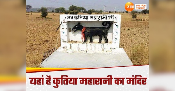 unique temple of Kutiya devi in this district of Uttar Pradesh people ...