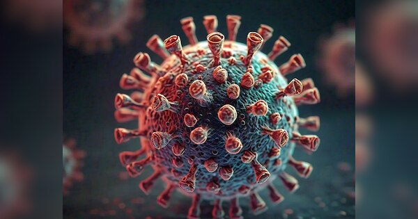 Scrub typhus Symptoms Measures to prevent Virus cases are increasing in ...