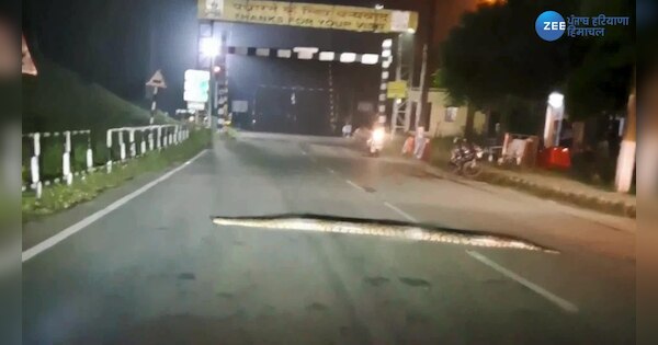 Ajgar 15 feet long at Nangal Road watching Viral video | Ajgar Viral ...