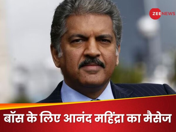 Anand Mahindra Monday Motivation birds Flying solo video viral | ऑफिस ...