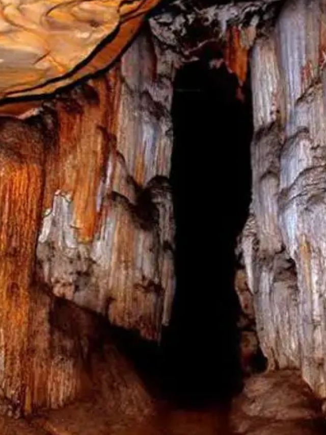 Chhattisgarh tourist place History of Kutumsar Caves blind fish are ...