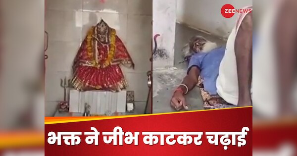devotee cut his tongue in front of maa ratangarh temple Devi Maa | अपनी ...