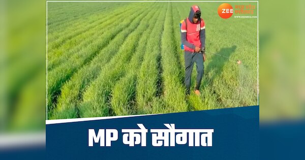 ashoknagar district in madhya pradesh big gift second agricultural engineering college will open ...