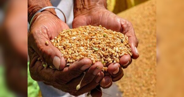 Free Ration Scheme: 2028 तक गरीबों को मिलता रहेगा फ्री राशन, कैबिनेट ने ...