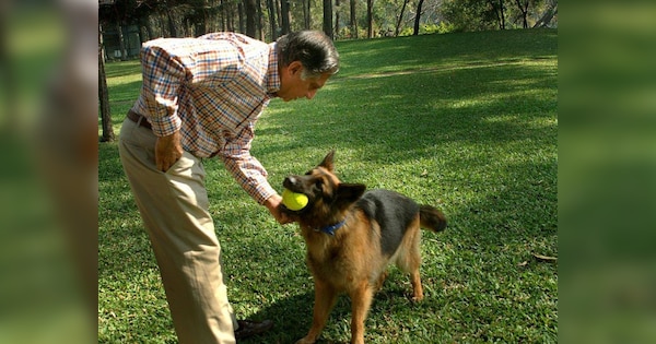 Ratan Tata Facts Memories Connection with dogs tango tito Britains King ...