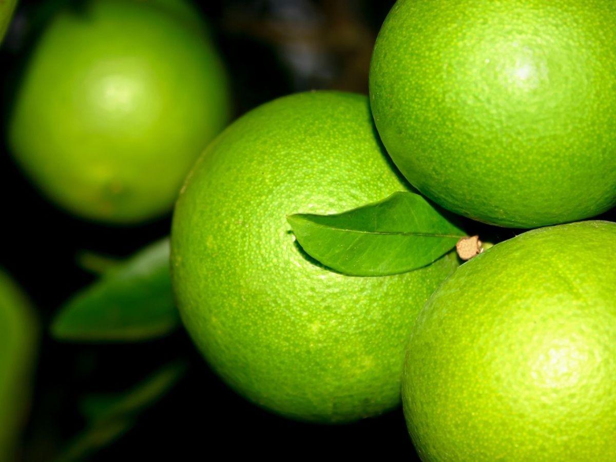 Mosambi Benefit of sweet lime mosambi juice for skin and hair|ਸਿਹਤ ਤੋਂ ...