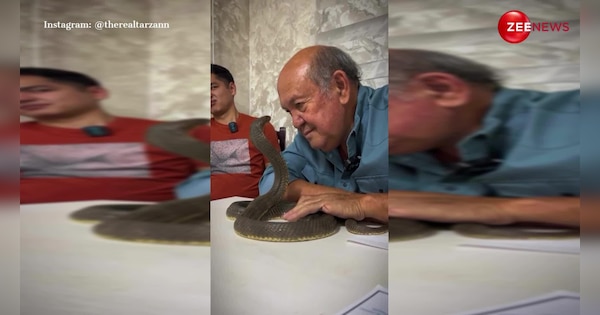 man staring king cobra eyes and talking to snake what happened next get ...