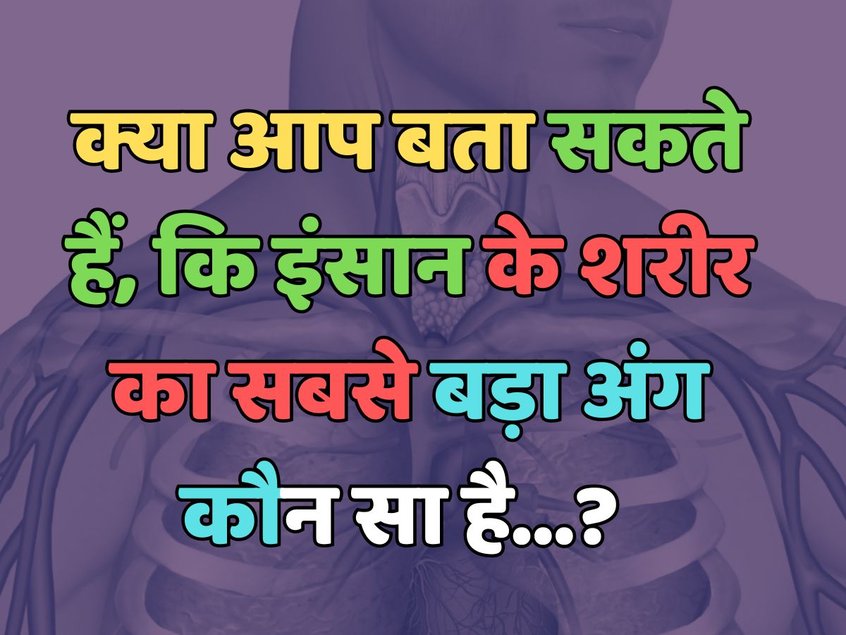 Trending Quiz क्या आप बता सकते हैं कि इंसान के शरीर का सबसे बड़ा अंग