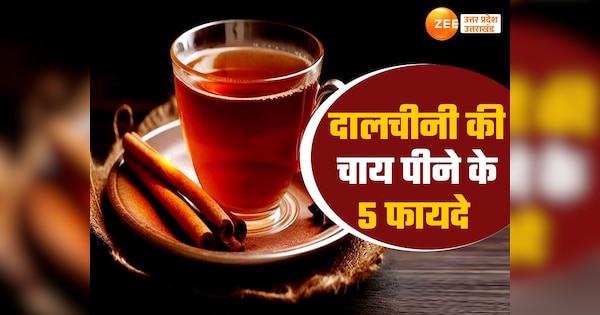 Health Benefits Of Cinnamon in winter Tea know How To Make Dalchini ...