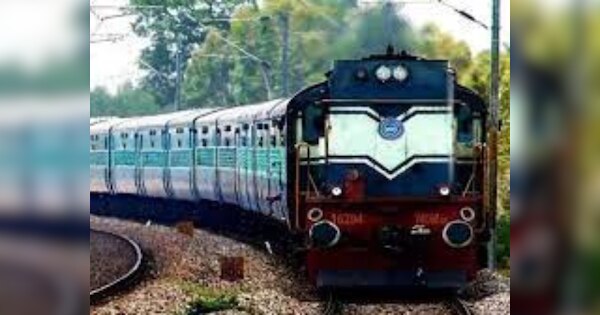 Jaisalmer News 2 camels died painful death after being hit by Ranikhet Express train | Jaisalmer ...