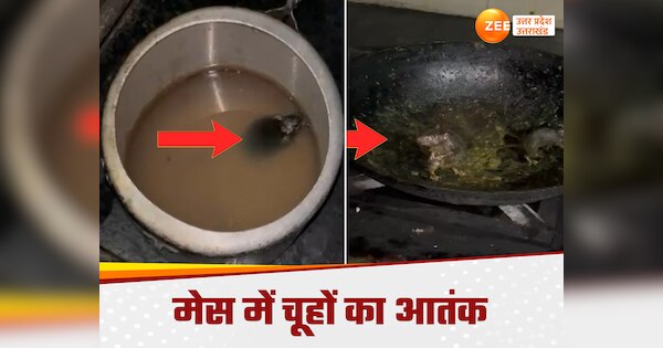 IIT Roorkee students create ruckus after seeing rats in mess food | IIT ...