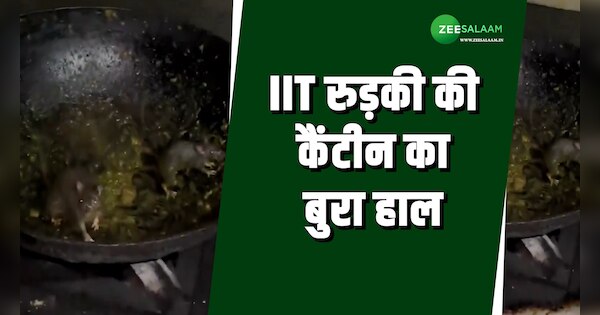 Video of rats seen in vegetable pan and cooker in IIT Roorkee's canteen