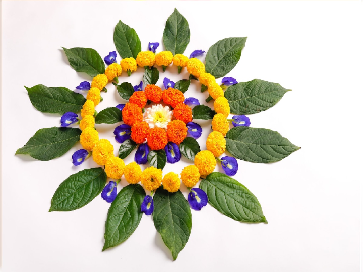 Diwali 2024 key ingredients for rangoli making home ingredient easy ...