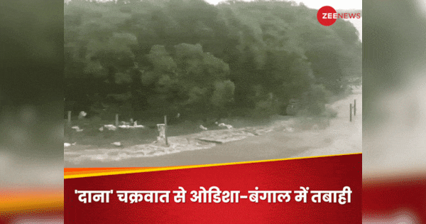 Dana Cyclone Live Updates: Know About Landfall, Wind Speed and Affected ...