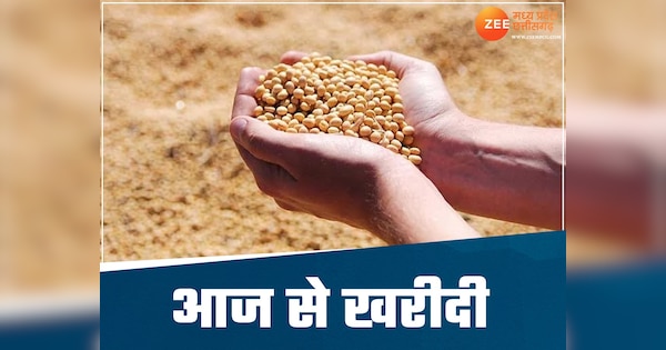 soybean crop purchase starts today in madhya pradesh at support price ...