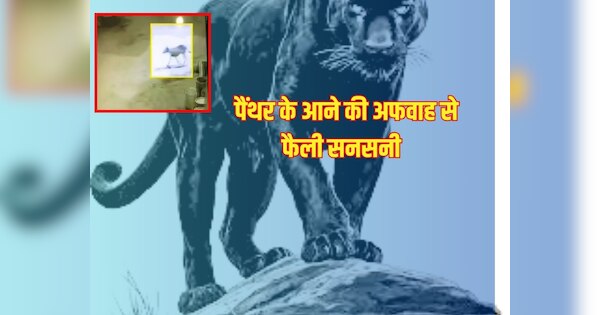 Jhunjhunu news After seeing CCTV footage people suspected it to be ...