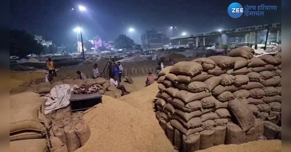 Punjab Kisan celebrated Diwali in Mandi due paddy lifting | Punjab ...