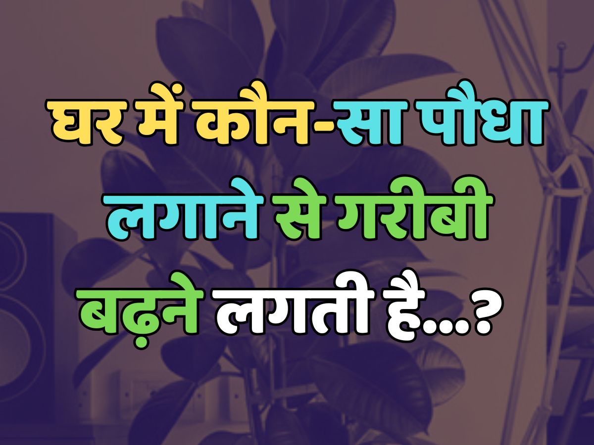 Trending Quiz क्या आपको पता है घर में कौन सा पौधा लगाने से गरीबी
