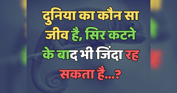 Trending Quiz दुनिया का कौन सा जीव है सिर कटने के बाद भी जिंदा रह