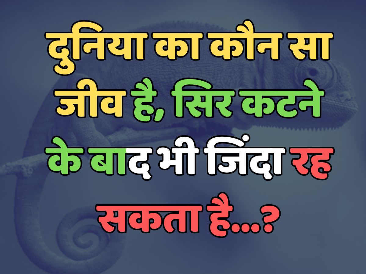 Trending Quiz दुनिया का कौन सा जीव है सिर कटने के बाद भी जिंदा रह