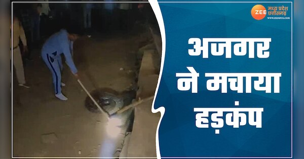 Bhopal Video Python found roaming near the temple in Berasia at night ...