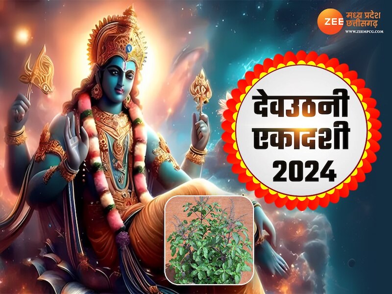 Worship mata Tulsi in this way on Devuthani Ekadashi 2024 happiness ...