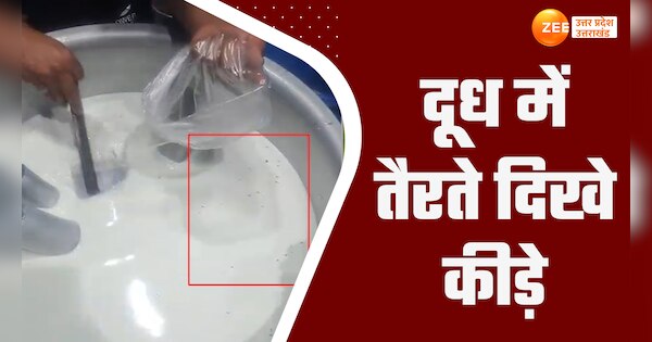 worms found in milk jain dairy mathura video goes viral on social media ...