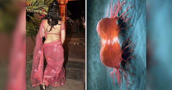 Women wearing saree should keep these things in mind your one mistake ...