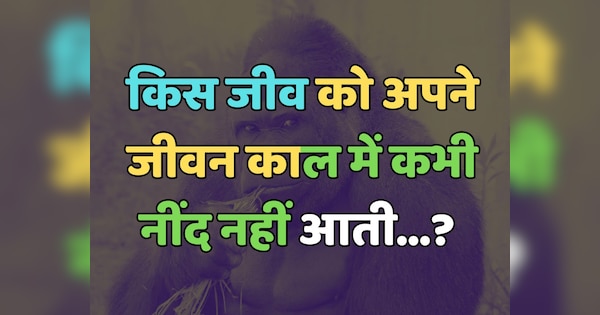 Trending Quiz बताएं वो कौन सा जीव है जिसे अपने जीवनकाल में कभी नींद