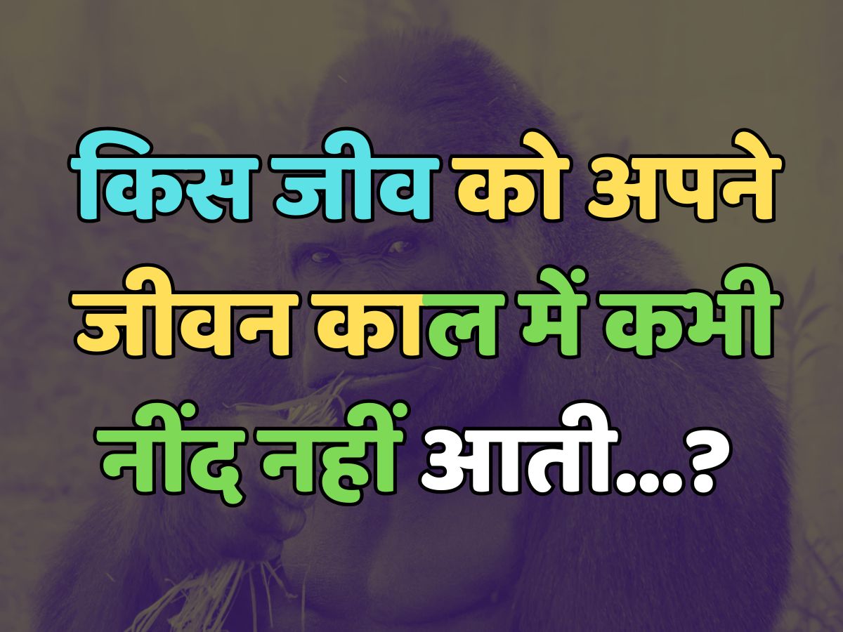 Trending Quiz बताएं वो कौन सा जीव है जिसे अपने जीवनकाल में कभी नींद