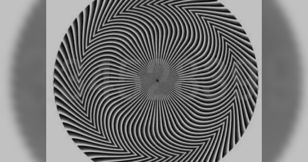 Optical Illusion Numerical Test find the blur number | Optical Illusion ...