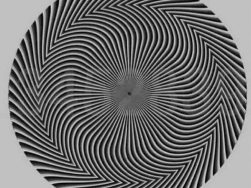 Optical Illusion Numerical Test find the blur number | Optical Illusion ...