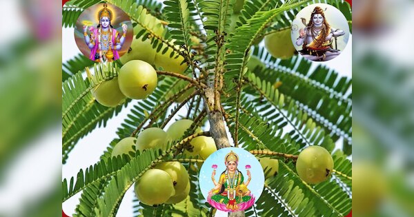 Akshay Navami 2024 mythological story of Akshaya Navami read here ...