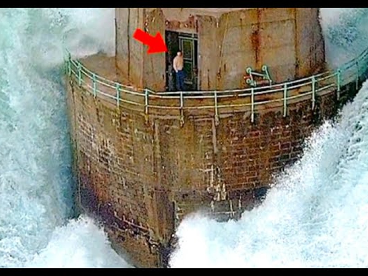 What is the world's highest-paid job | What is the hardest job in the ...