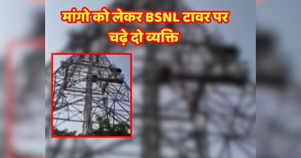 Jaipur news Case related to Dimple Meena murder case in Dausa | Jaipur ...