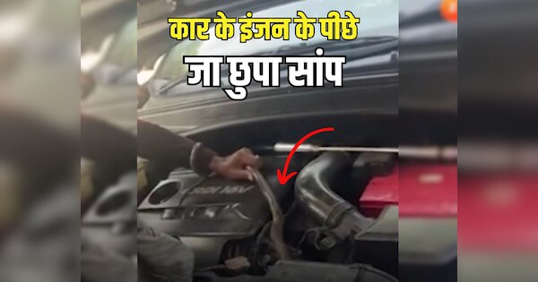 Snake Viral Video hiding behind car engine in kota | Snake Video: कार ...