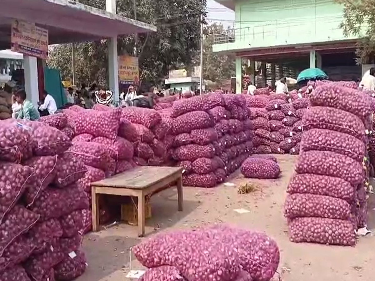Alwar Record arrival of onion in vegetable market farmers protest over ...