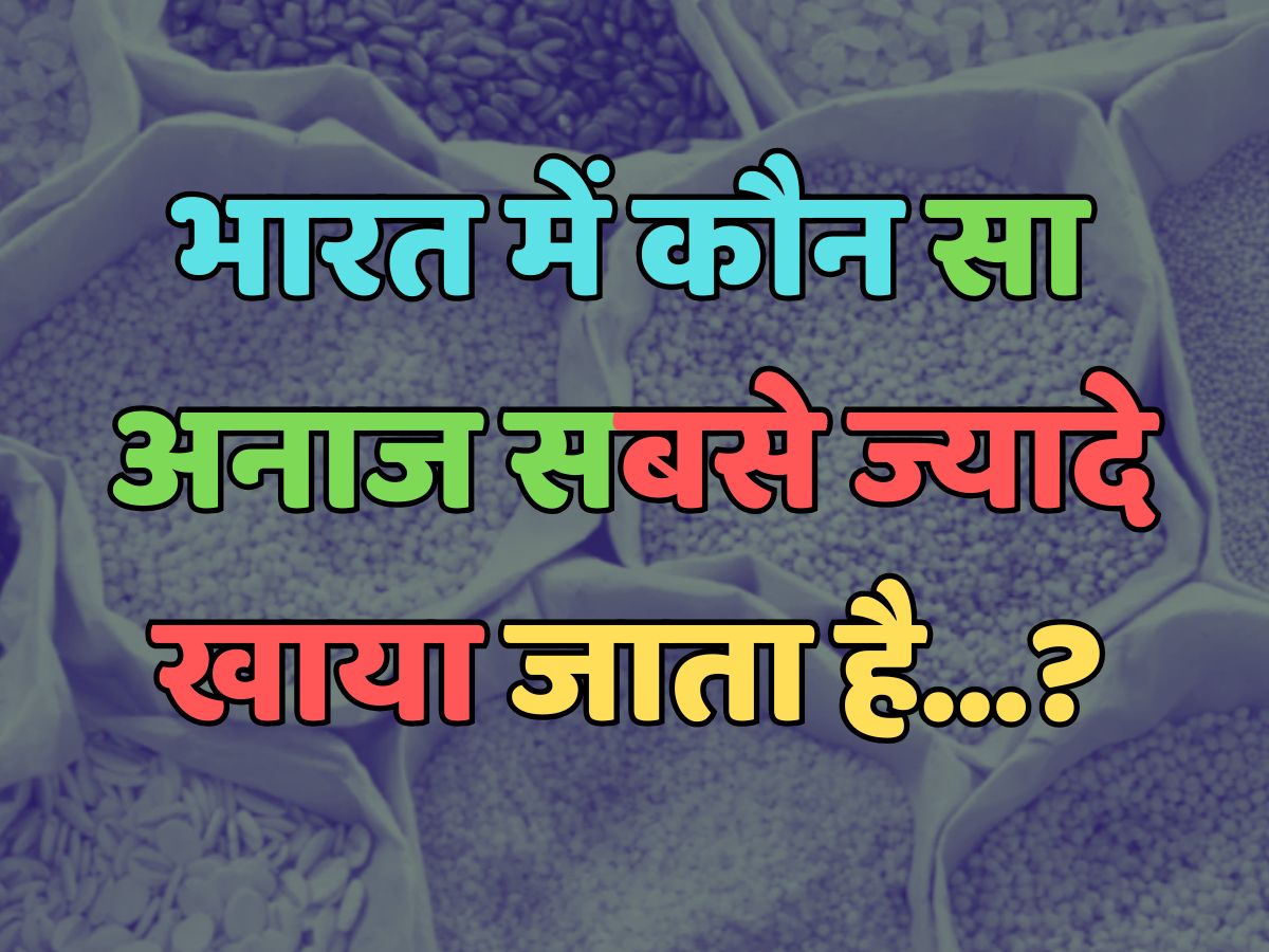Trending Quiz क्या आप जानते हैं भारत में कौन सा अनाज सबसे ज्यादे
