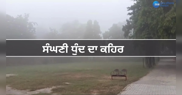 Punjab Mohali Weather Update dense Fog Alert Today watch morning ...
