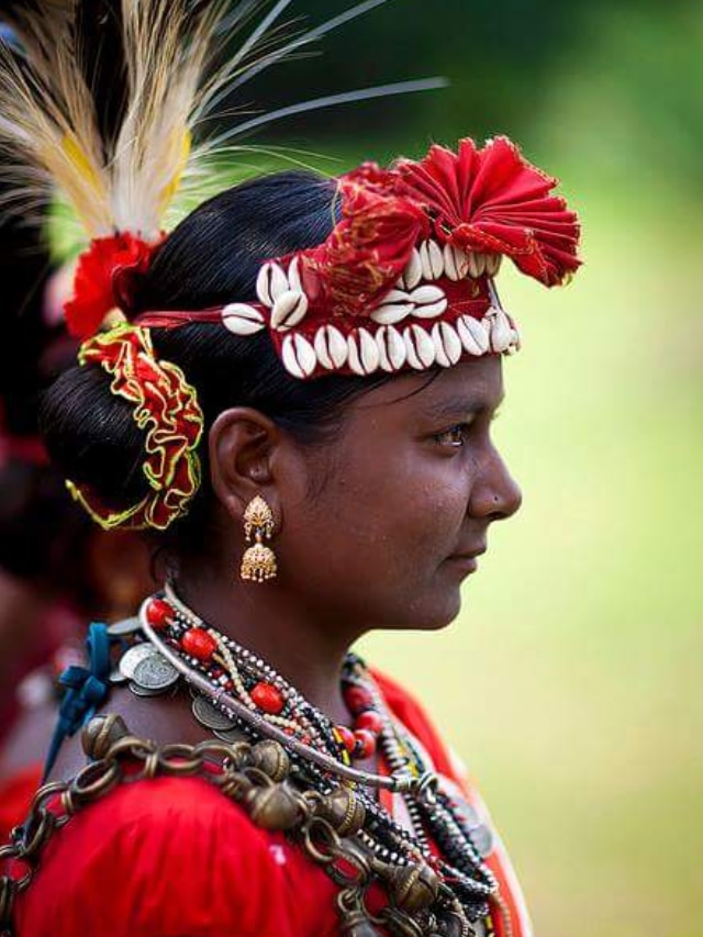 Women in Chhattisgarh love these outfits famous and unique attire know ...