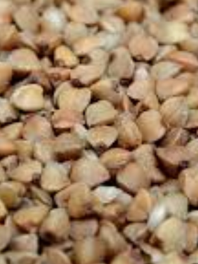 Buckwheat can give good energy In winter for immunity stomach bones ...